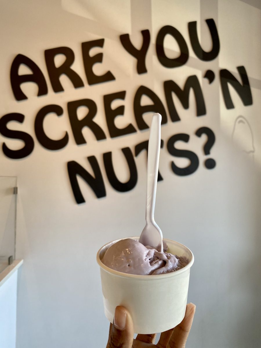 Five Yummy Things You Will LOVE About 'Scream'n Nuts' Donut Shop ...