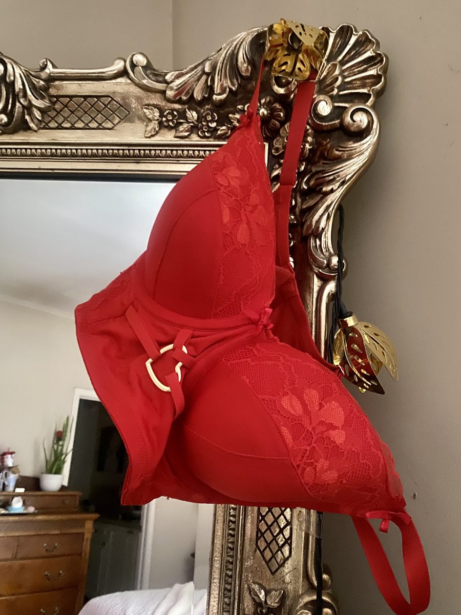 My Style: Heart Longline Balconette Lace Bra & Floral Print Robe ...